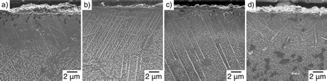 Se Micrographs Showing Representative Microstructures Of The Oxidised Download Scientific
