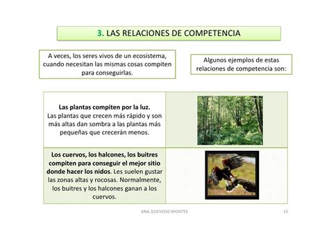 Los Ecosistemas