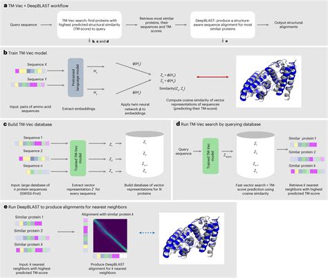 Deep Learning Powers New Methods For Protein Remote Homology Detection And Structural Alignment