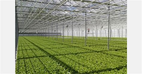 Industrial Product Solutions Bankrupt Negotiations On Relaunch Underway