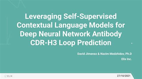 Leveraging Self Supervised Contextual Language Models For Deep Neural