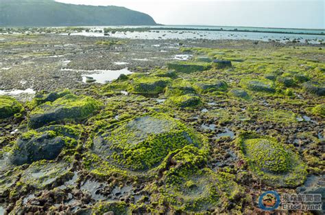 探訪澎湖最美海岸！岸際潮間帶海藻繽紛 Ettoday旅遊雲 Ettoday新聞雲