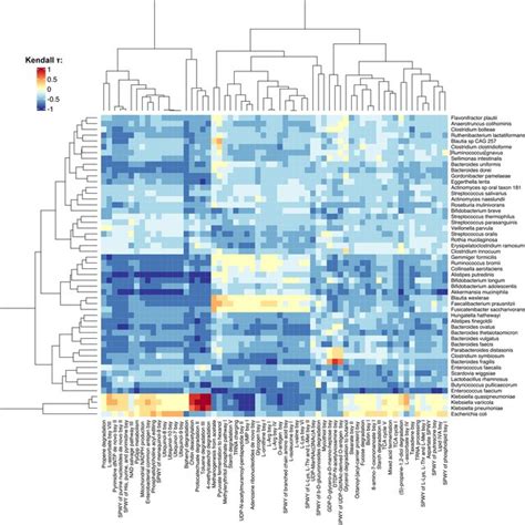 Functional Potential Of The Components Of The Gut Microbiome Networks Download Scientific