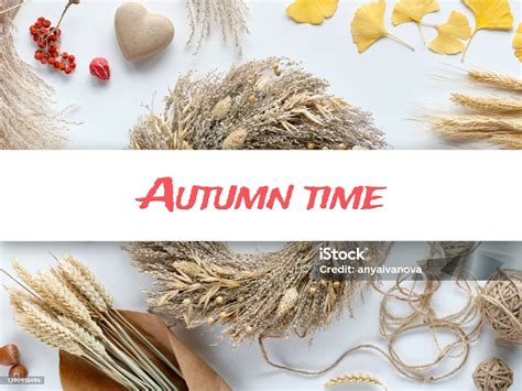 가을 시간 텍스트 마른 잔디 화환 하얀 플랫 레이 은행나무 잎 마른 가을 잎 밀 귀 대마 코드 및 팜파스 잔디가있는 가을 배경 가을에 대한 스톡 사진 및 기타 이미지