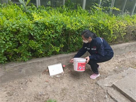 开展春季校园灭鼠专项活动