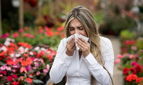 꽃가루 알레르기 비염 2주전 미리 약 복용하세요