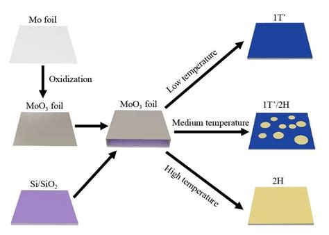 Jap 湘潭大学郝国林老师课题组：大面积1t相与2h相二碲化钼二维纳米薄膜的精准合成 知乎