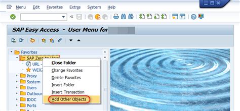SAP GUI Manage TCode And TCode Favorites SAP Zero To Hero