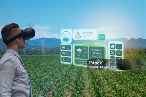 Iot 스마트 산업 로봇 40 농업 개념 농업 개념 농업 스마트 농부 스마트 안경을 사용 하 여 모니터링 농장에서 제어 농업에 대한 스톡 사진 및 기타 이미지 Istock