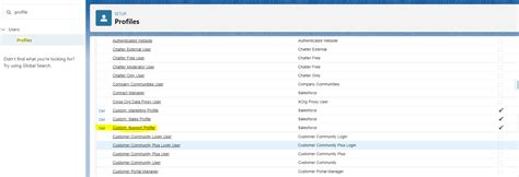 What Is Field Level Security In Salesforce Pantherschools