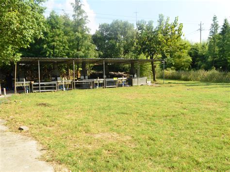 野炊烧烤区 昆山鳄鱼谷