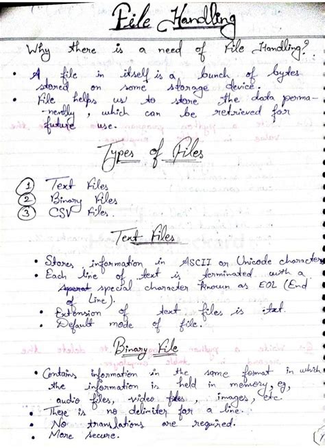 Computer File Handling Handwritten Notes For Class 12th Handwritten