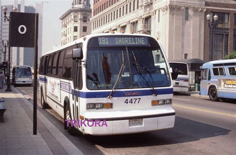 Long Beach Transit Lbt Lbptco 4x6 Photo 12 Bus Print Gm Gmc Tmc Rts Mta La 5 1935737052