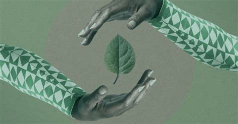 Uk Green Code An Essential Guide Arbor