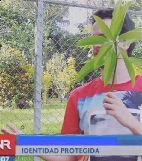 Los Últimos Memes Memedroid