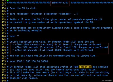 Redis Rdbredis Data Baseredis Database Csdn博客