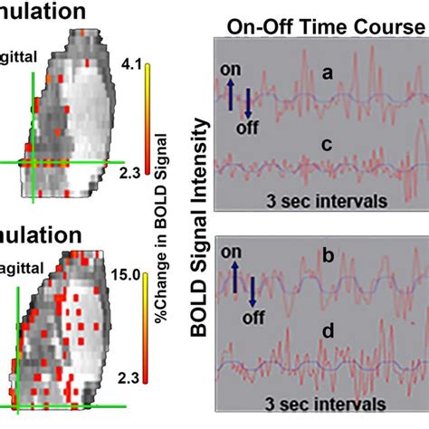 Bold Fmri In Response To Tactile And Visual Stimulation The Top Row