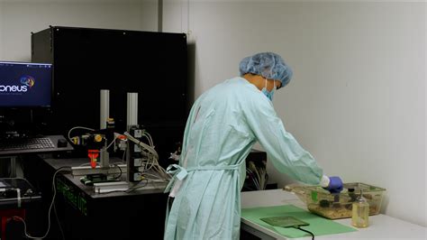 Vídeo High Frequency Ultrasound Imaging Of Mouse Cervical Lymph Nodes