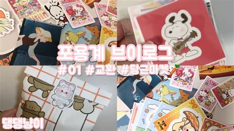 포용계 브이로그 01🥕당근마켓🥕교환포용도무송떡메인스랜박 Youtube