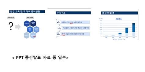 정부지원사업 합격 사업계획서 및 Ppt 발표자료입니다 크몽