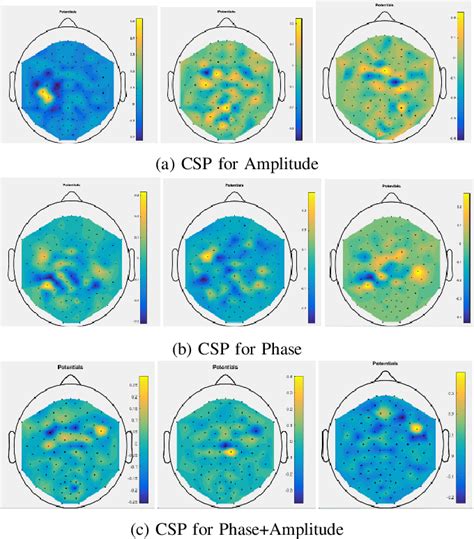 Figure 1 From Phase Sensitive Common Spatial Pattern For Eeg