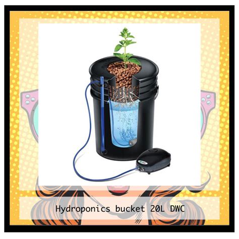 พร้อมส่ง ถังไฮโดรโปนิกส์ 1 ถัง ชุดพร้อมปลูก Dwc Hydroponics Bucket 20l Dwc ระบบไฮโดรโปนิกส์