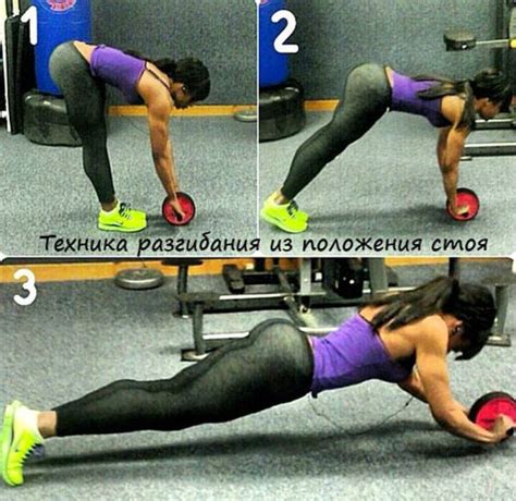 Ролик для пресса - Движение – жизнь - Calorizator.ru