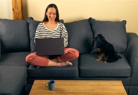 원격 작업에서 여자는 웃는 연꽃 위치에 소파에 앉아 머그잔과 테이블 근처 그녀의 무릎에 노트북에 입력 가까운 에 그녀의 작은 개 앉아 가정 생활에 대한 스톡 사진 및 기타