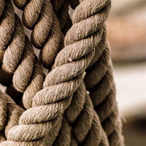 Inside Jutopia The Jutopiashop