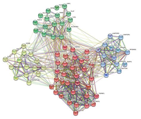 String Database Generating The Ppi Network Using Selected And Training Download Scientific