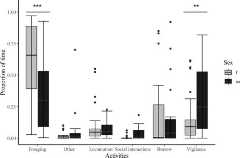 Activity Budget Of Females And Males Proportion Of Time Dedicated To Download Scientific