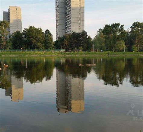 Квартира 1 комната 36 м² купить в Зеленограде цена 8 000 000 руб