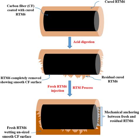 Schematic Representation Of The Interface Between Fresh Residual Cured