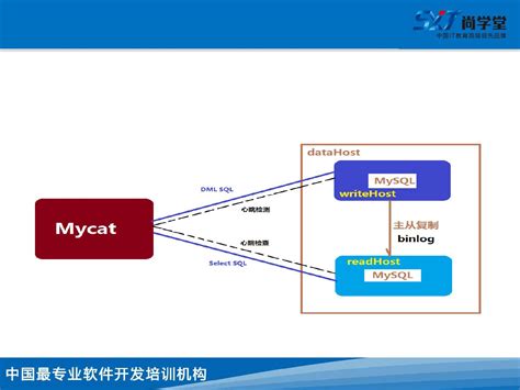 Mycat读写分离 墨天轮文档