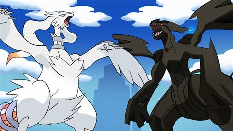 Reshiram En Zekrom Mens Reshiram Zekrom And Kyurem Pokemon
