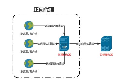 Nginx核心功能及正则表达ng Proxy 2 Zhiru Csdn博客