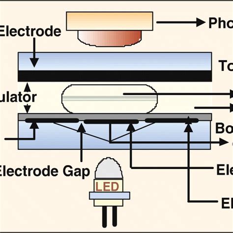 Structure Of A Digital Microfluidic Biochip Download Scientific Diagram