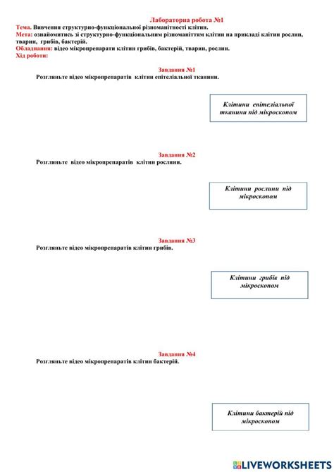 9 клас Лаборат… Free Interactive Worksheets 2472549