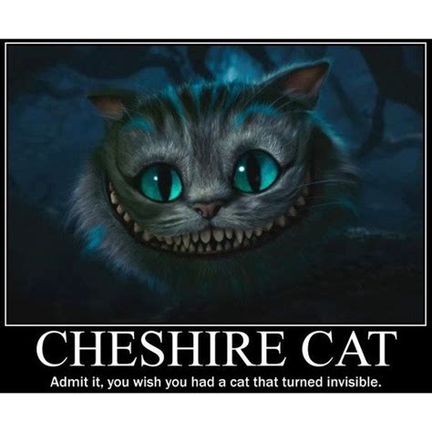 Chester Cat Quotes Quotesgram