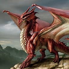 COLOR EXPLOSION GIF On Behance