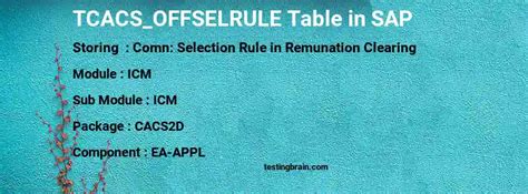 tcacs offselrule sap table for comn selection rule in remunation
