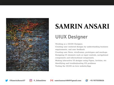 My Workflow Responsibilities By Samrin On Dribbble