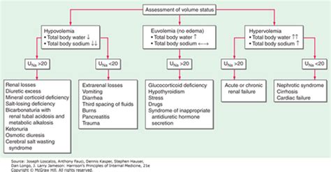 Hyponatremia Harrisons Flashcards Quizlet