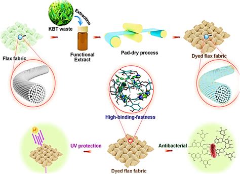 Schematic Of Preparational Route And Application Of Dyed Dye From Download Scientific Diagram