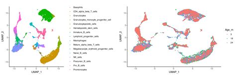 B Cells Transcriptomic Data • Condecon