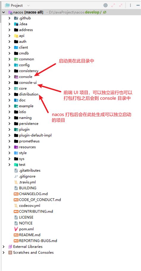 源码启动 nacos 服务 奔跑的砖头