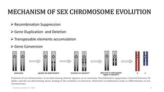 Sex Chromosomes Evolution Pptx