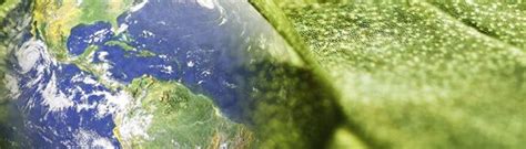 Amalgam Uvc Proprietary Pellet Technology Lightsources