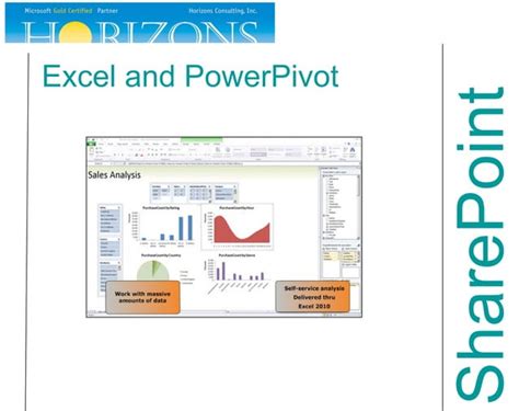 SharePoint 2010 Business Insights PPT