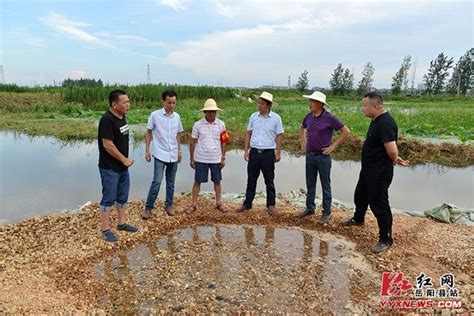 吳光文現場指導岳陽縣小毛家湖處險加固 每日頭條